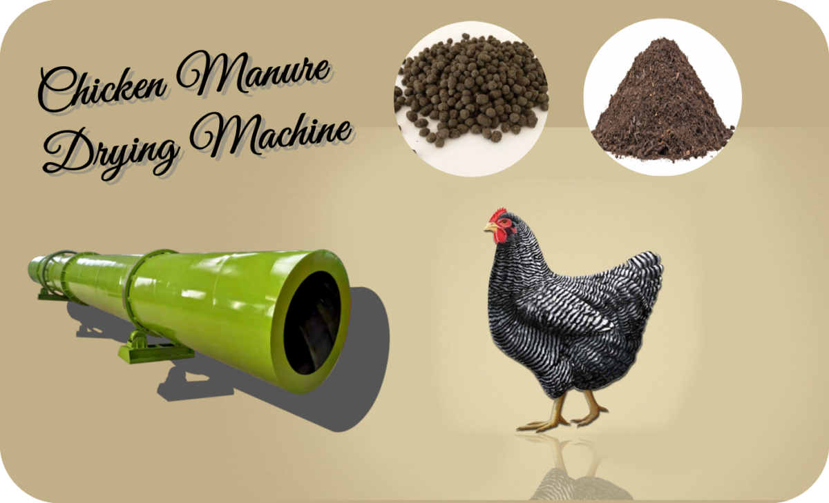 Chicken Manure Drying Machine | Relevent Facilities for Choice